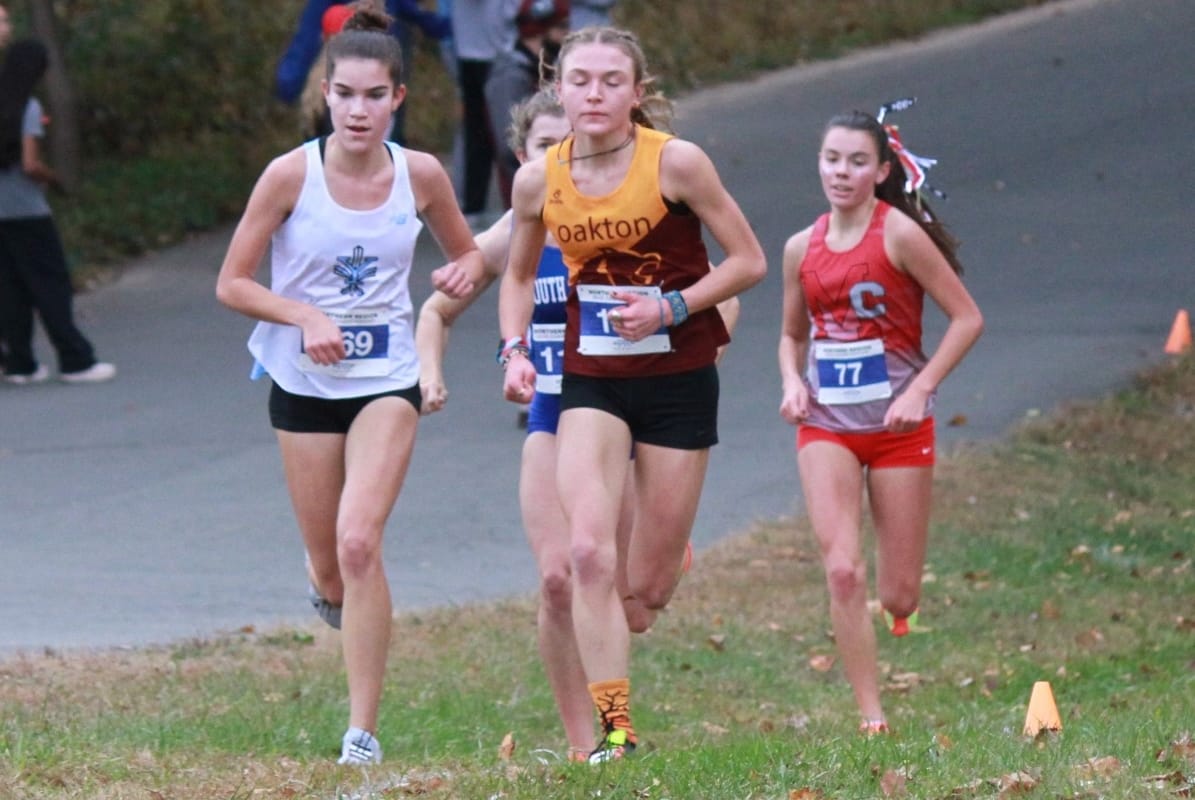 Area runners enjoyed big success during fall’s cross-country season ...