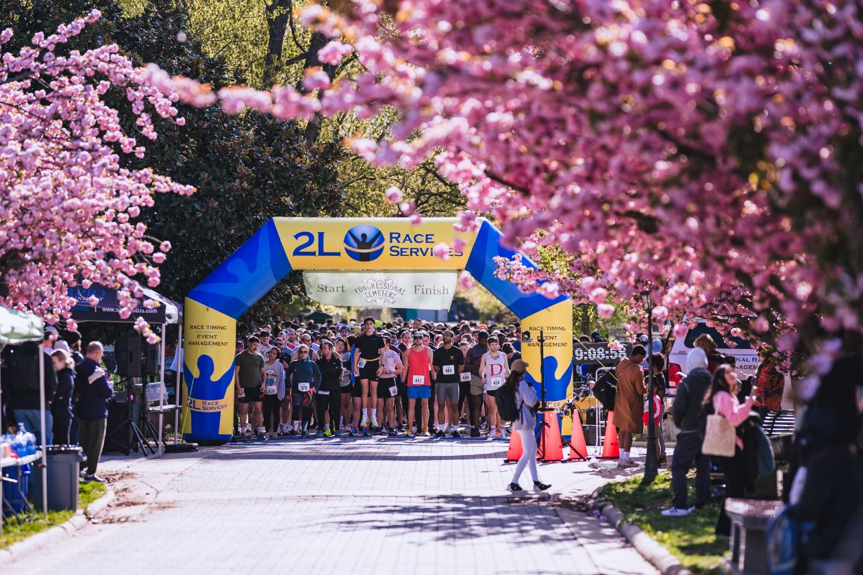 Cherry Blossom 5k Runwashington